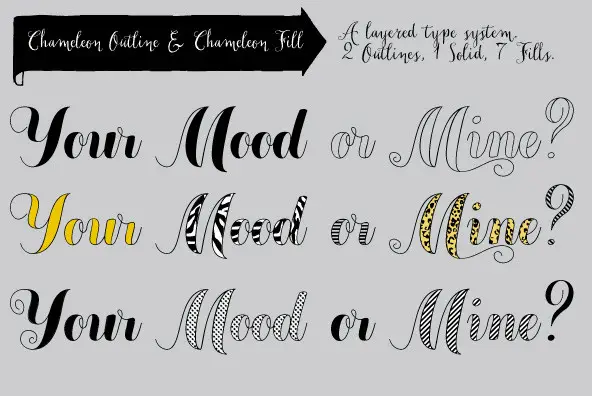 Chameleon Family Font - YouWorkForThem