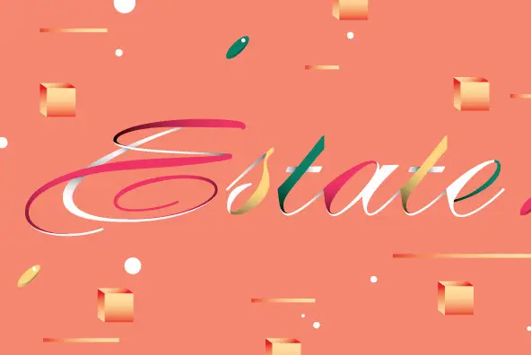 Diane Script Premiere Font - YouWorkForThem