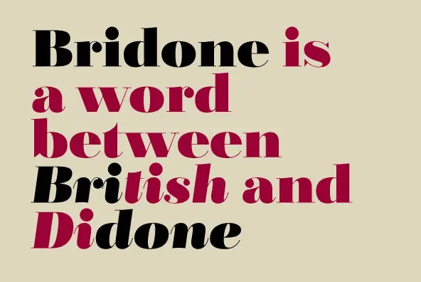 Bridone Font - YouWorkForThem