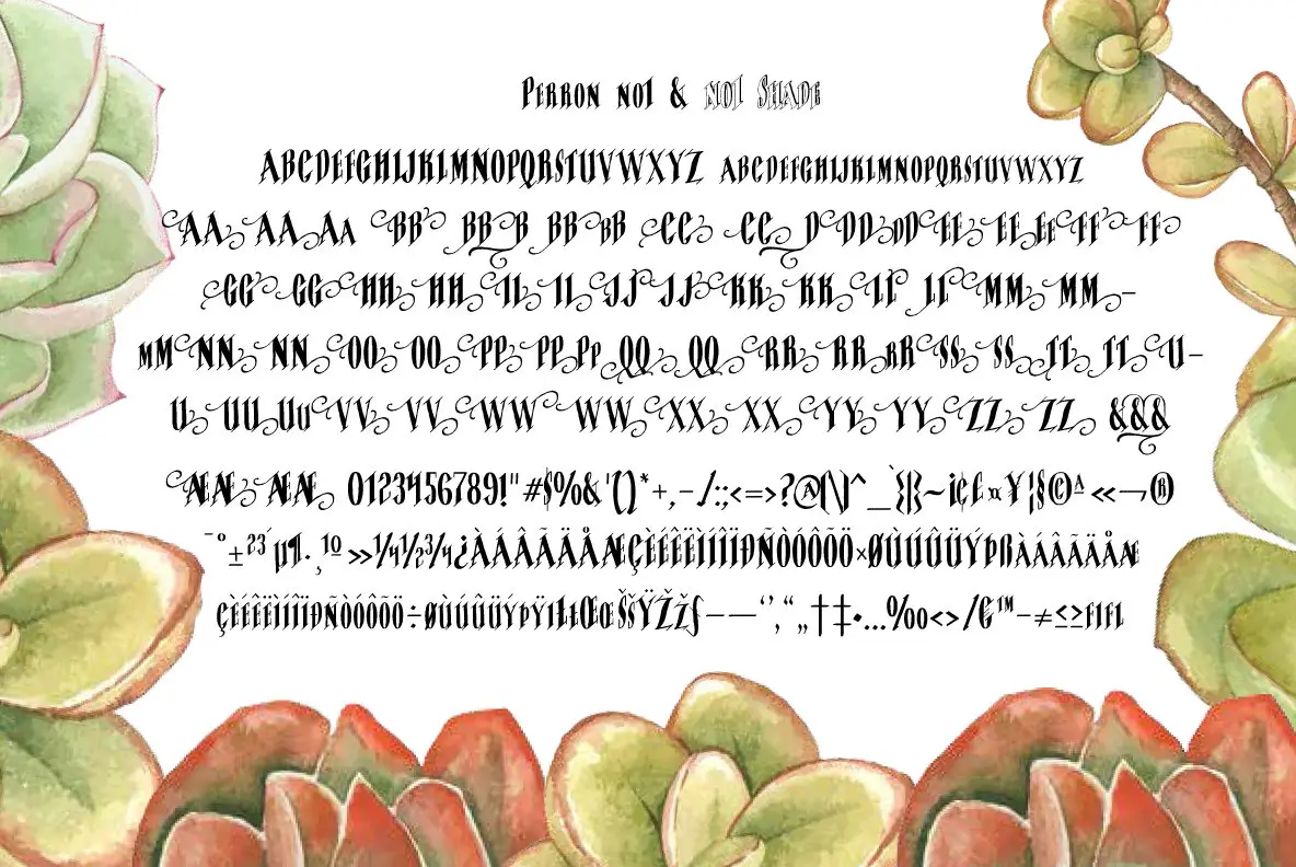 Perron Font - YouWorkForThem