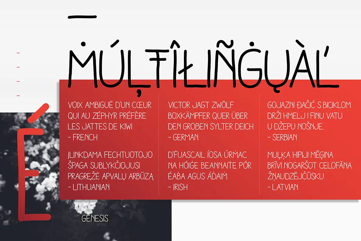 Aracne Font - YouWorkForThem