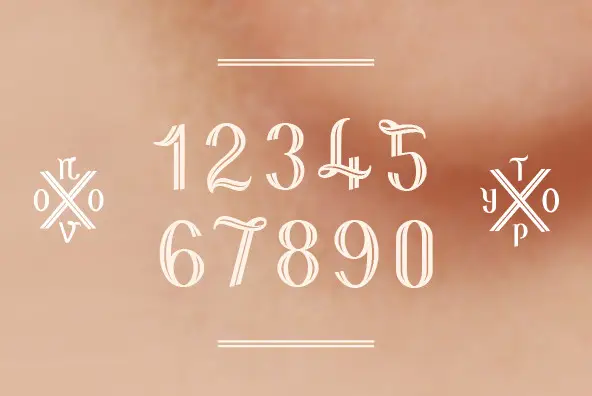 NT Fest Font - FontPath