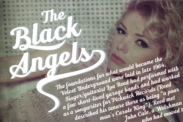 Seren Script Font - YouWorkForThem