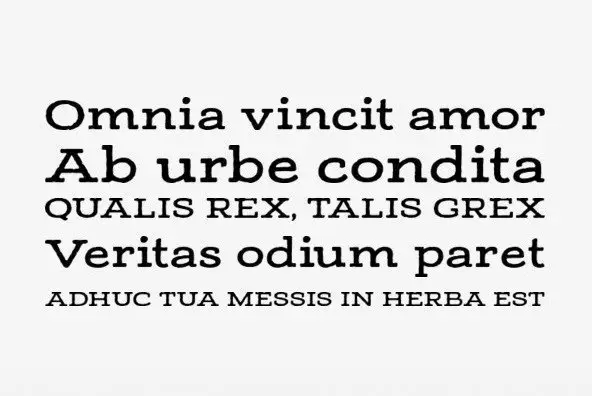 Adorn Slab Serif Bold Font - FontPath