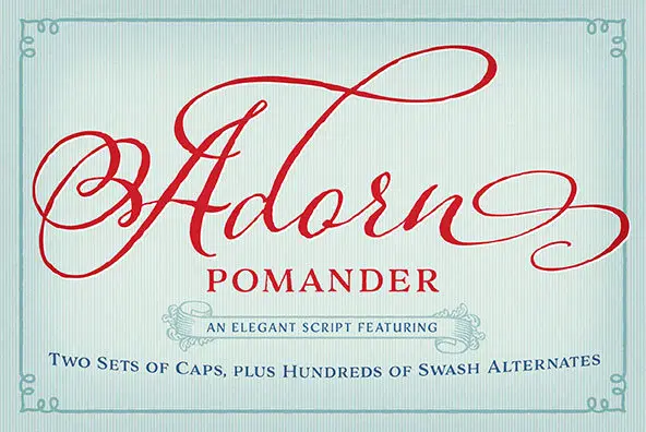 Adorn Collection Font - YouWorkForThem