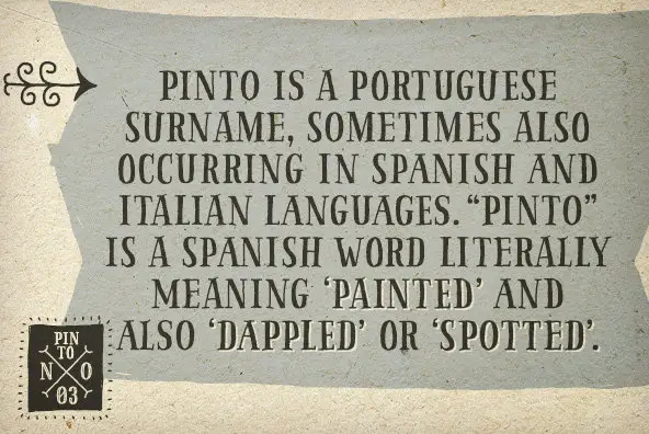 Pinto Font - YouWorkForThem