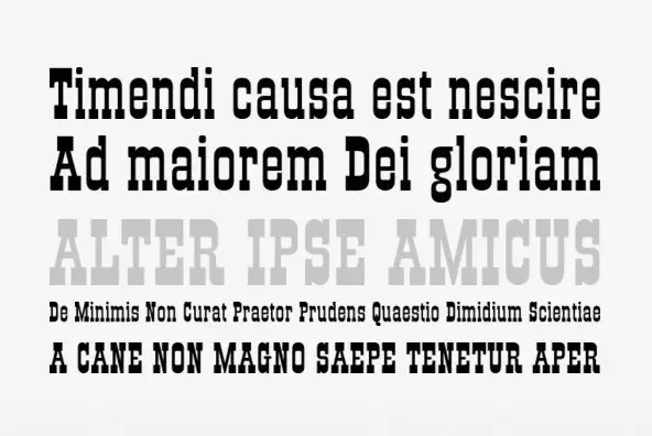 Old Towne Pro Font - YouWorkForThem