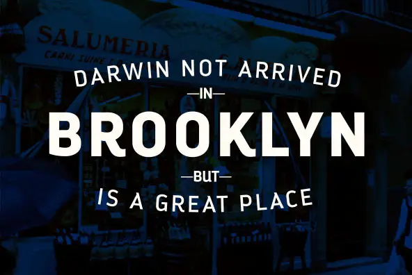 Darwin Font - YouWorkForThem