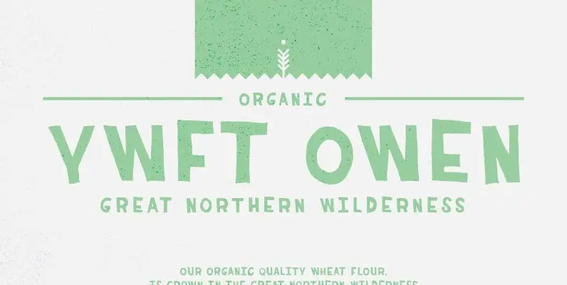 Download YouWorkForThem Fonts & Web Fonts - YouWorkForThem