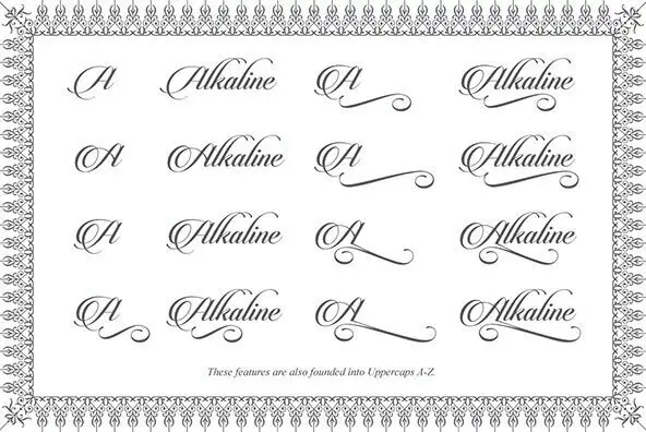 Candlescript Pro Font - FontPath