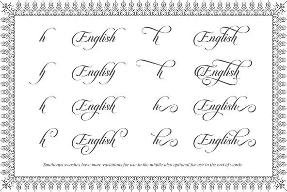 Candlescript Pro Font - YouWorkForThem