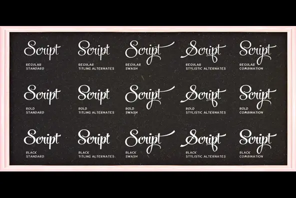 Powder Script Font - YouWorkForThem