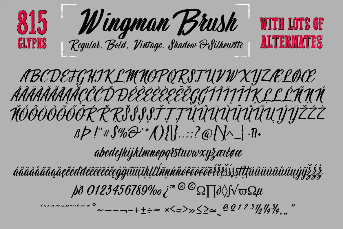 Wingman Font - YouWorkForThem