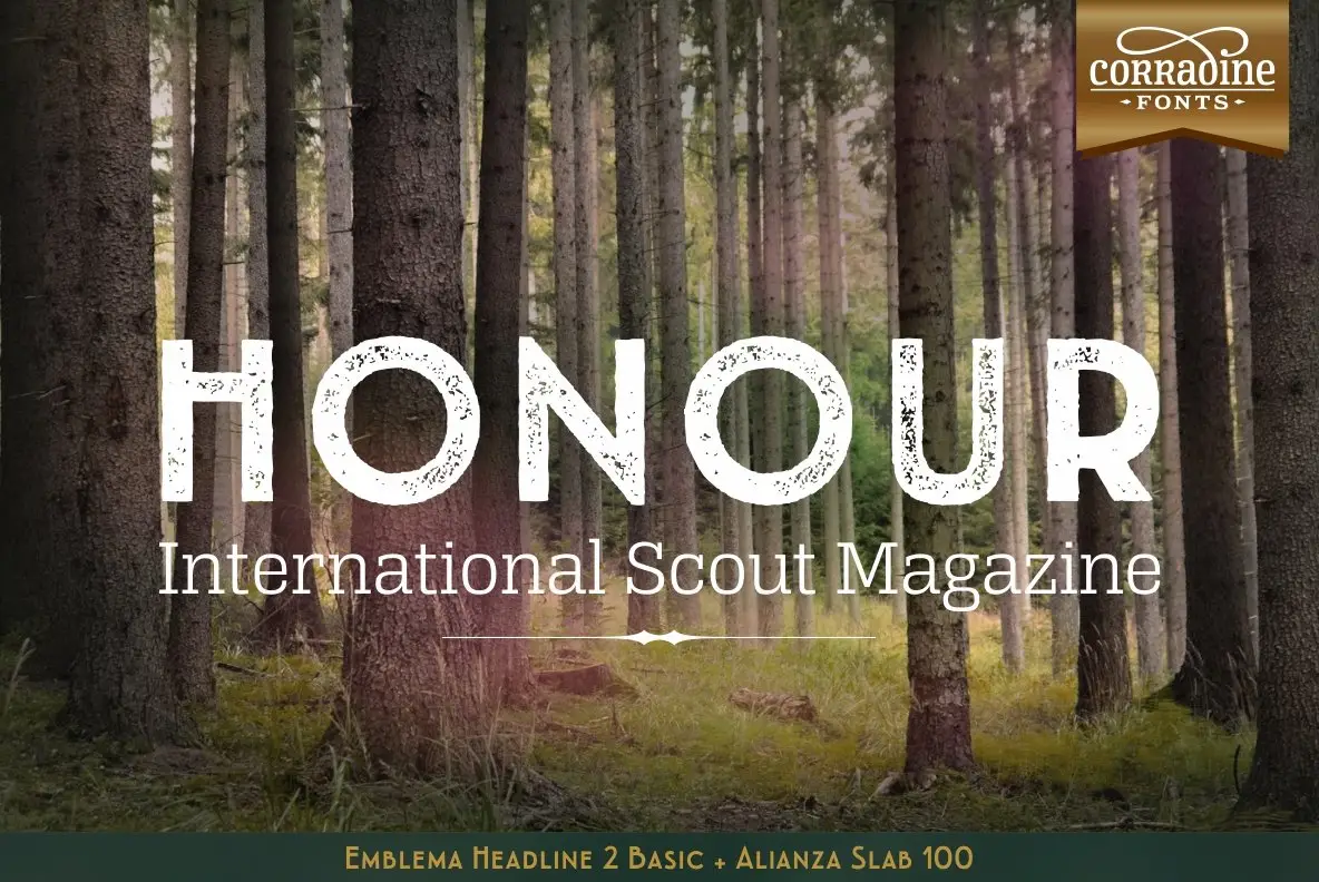 Emblema Headline Font - YouWorkForThem