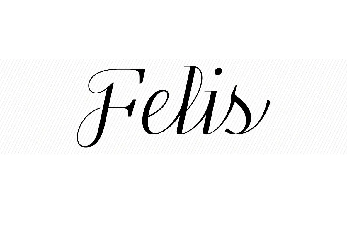 Felis Script Font - FontPath