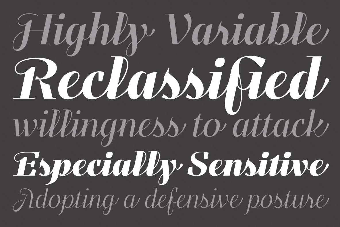 Felis Script Font - FontPath