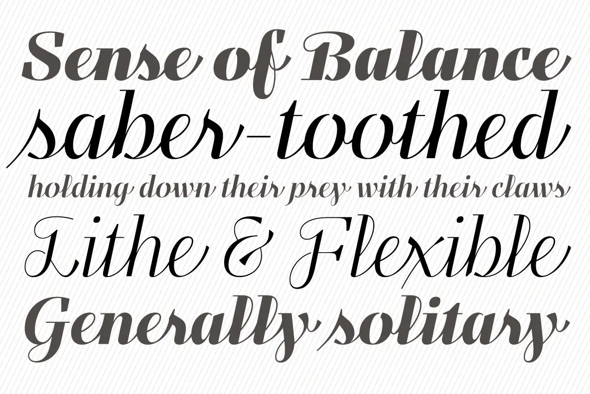 Felis Script Font - FontPath