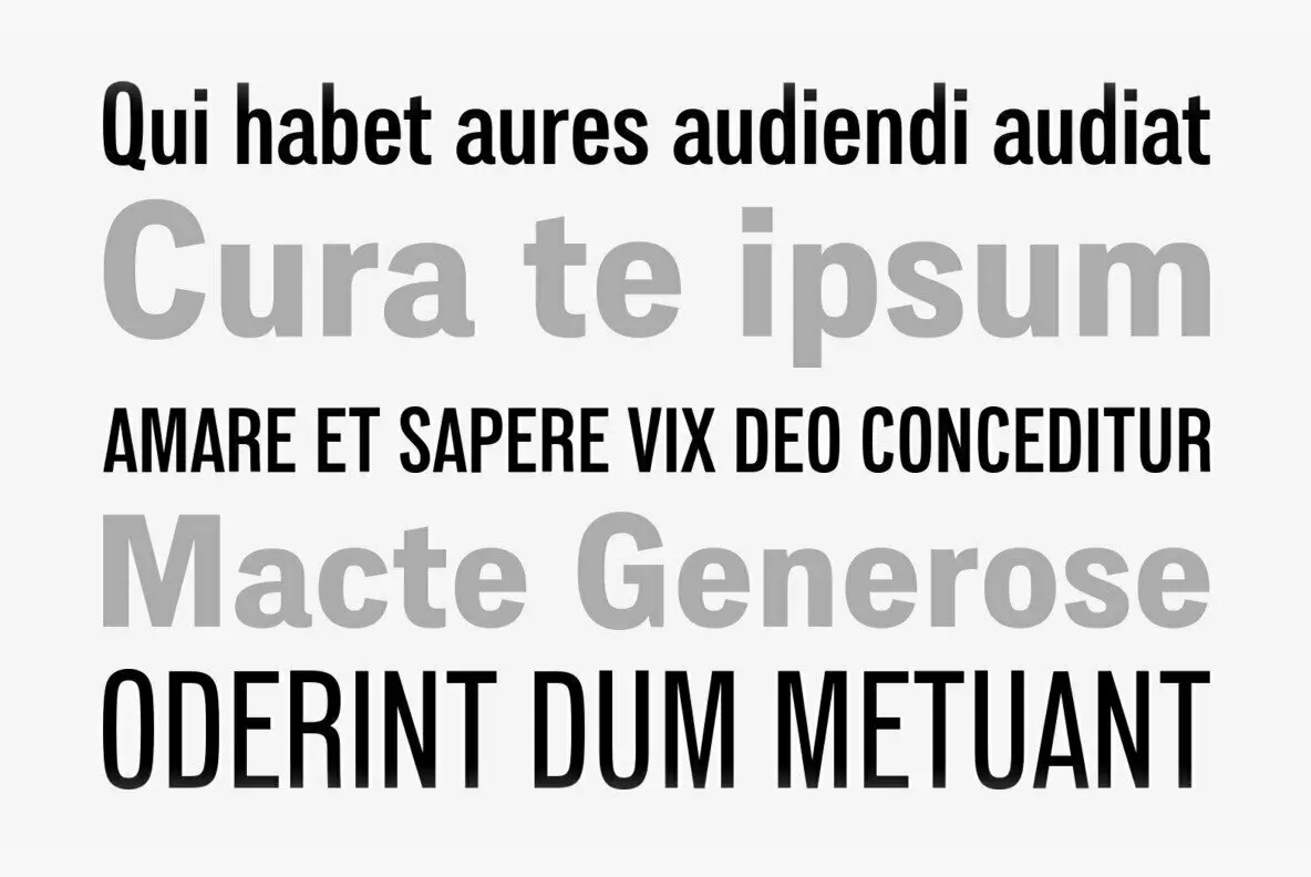 Lorimer No 2 Font - YouWorkForThem