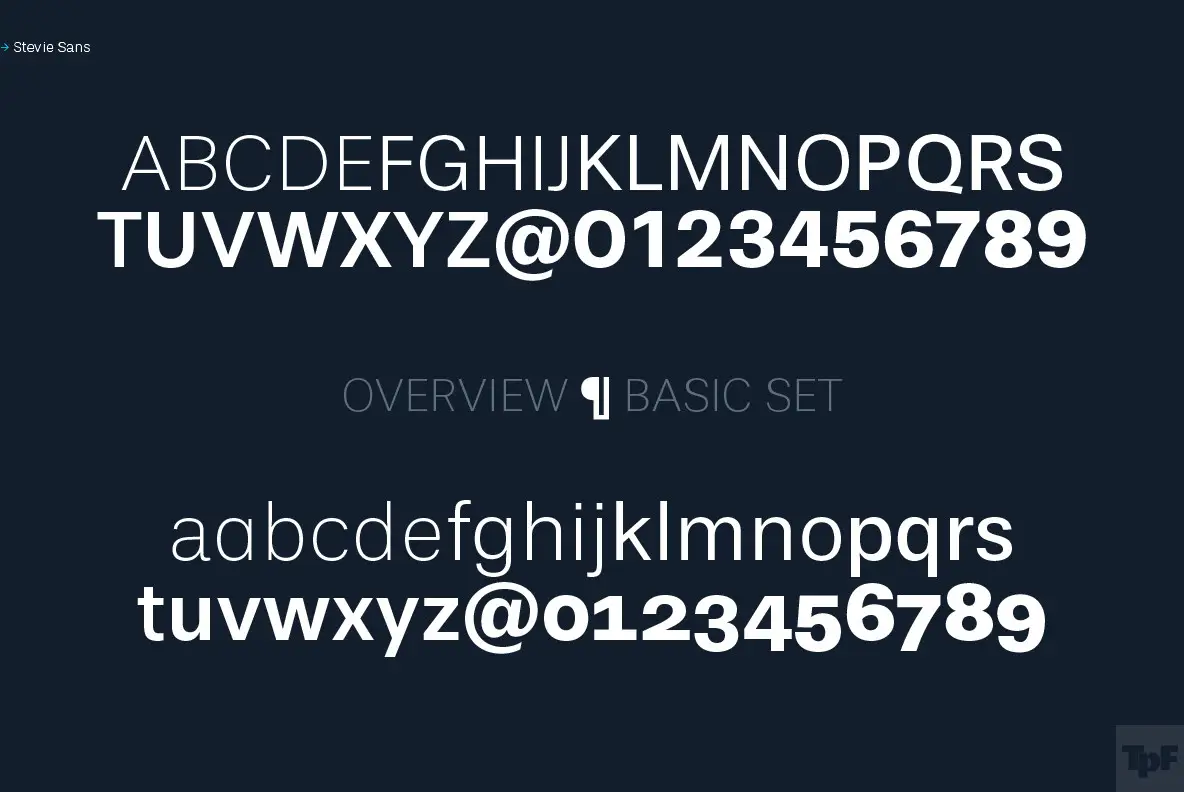 Stevie Sans Font - YouWorkForThem