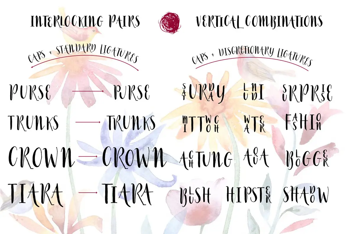 Stylist Pro Font - YouWorkForThem