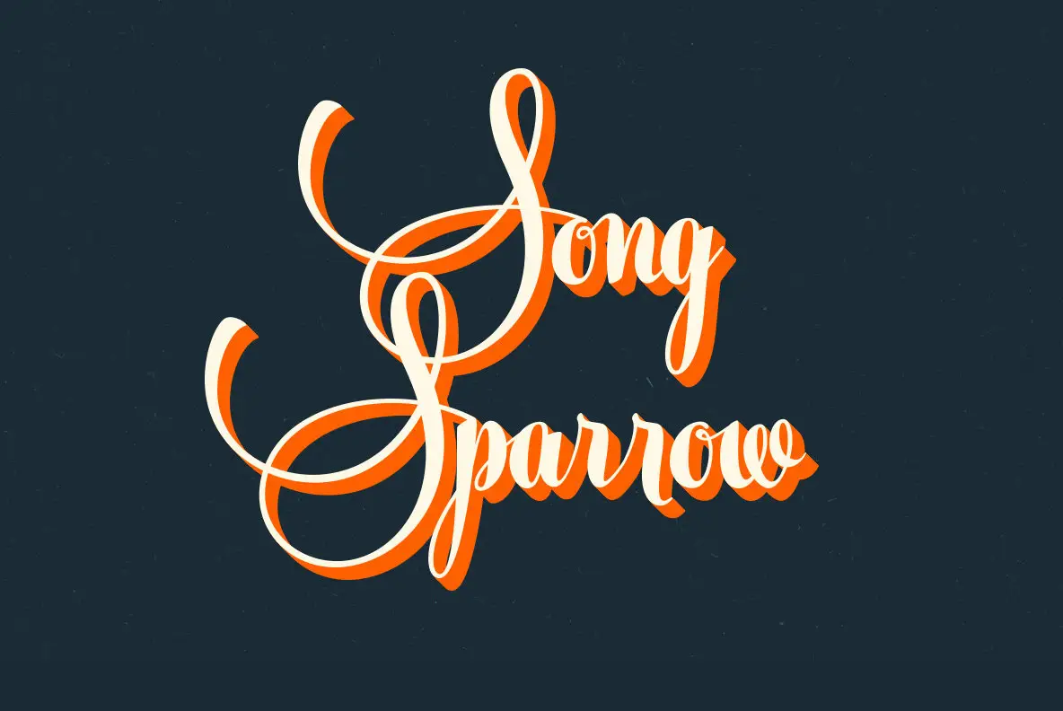 Silver Font - FontPath