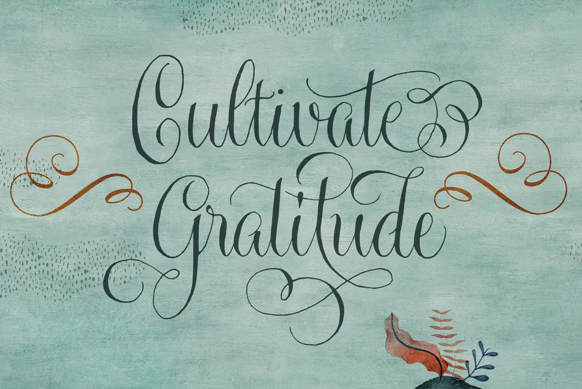 Gratitude Script Font - FontPath