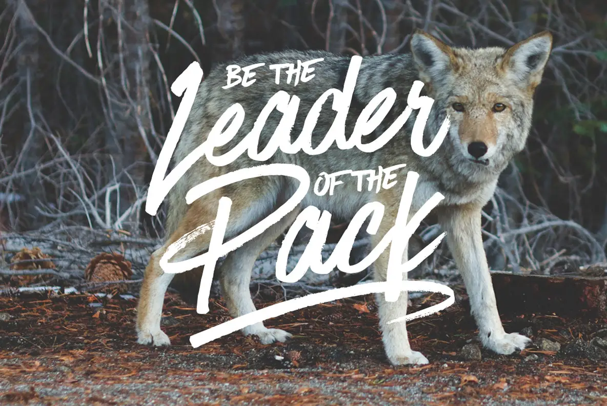 Have Heart Font - FontPath