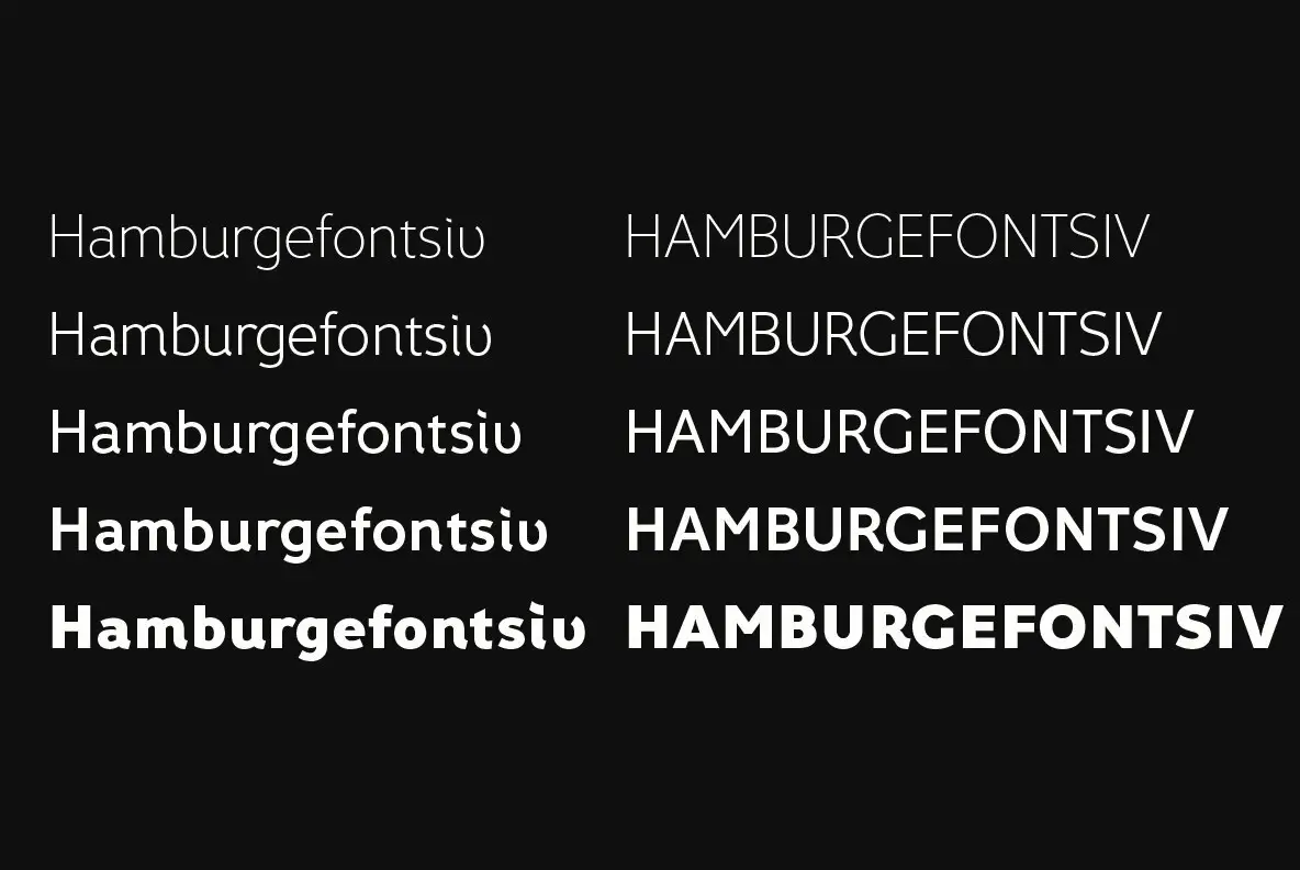 Fox Grotesque Pro Font - FontPath