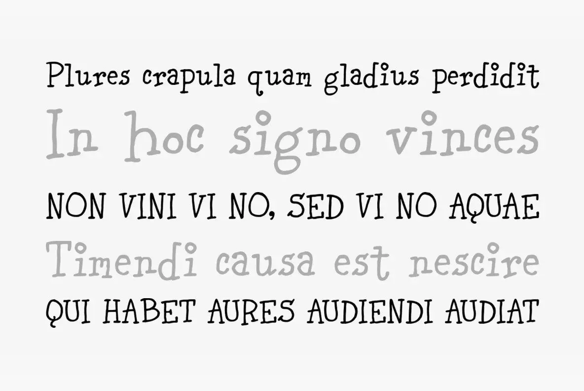 Carnation Font - FontPath