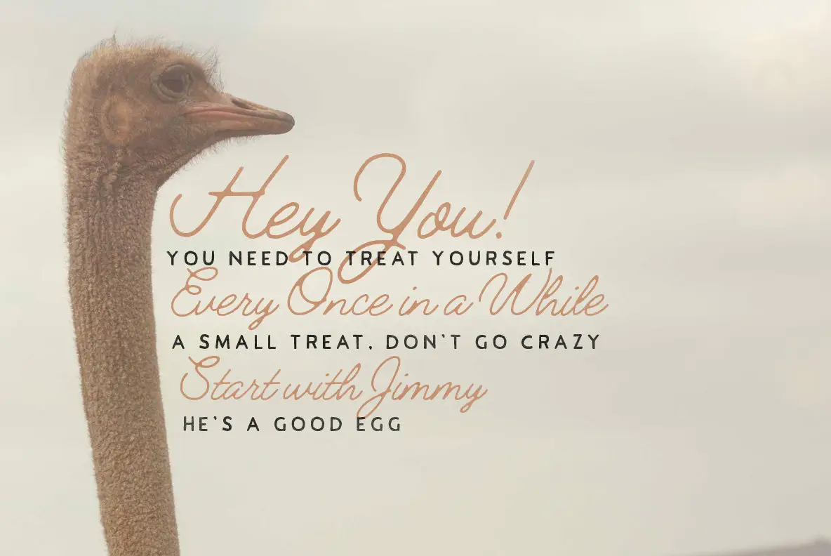 Jimmy Script Font - FontPath