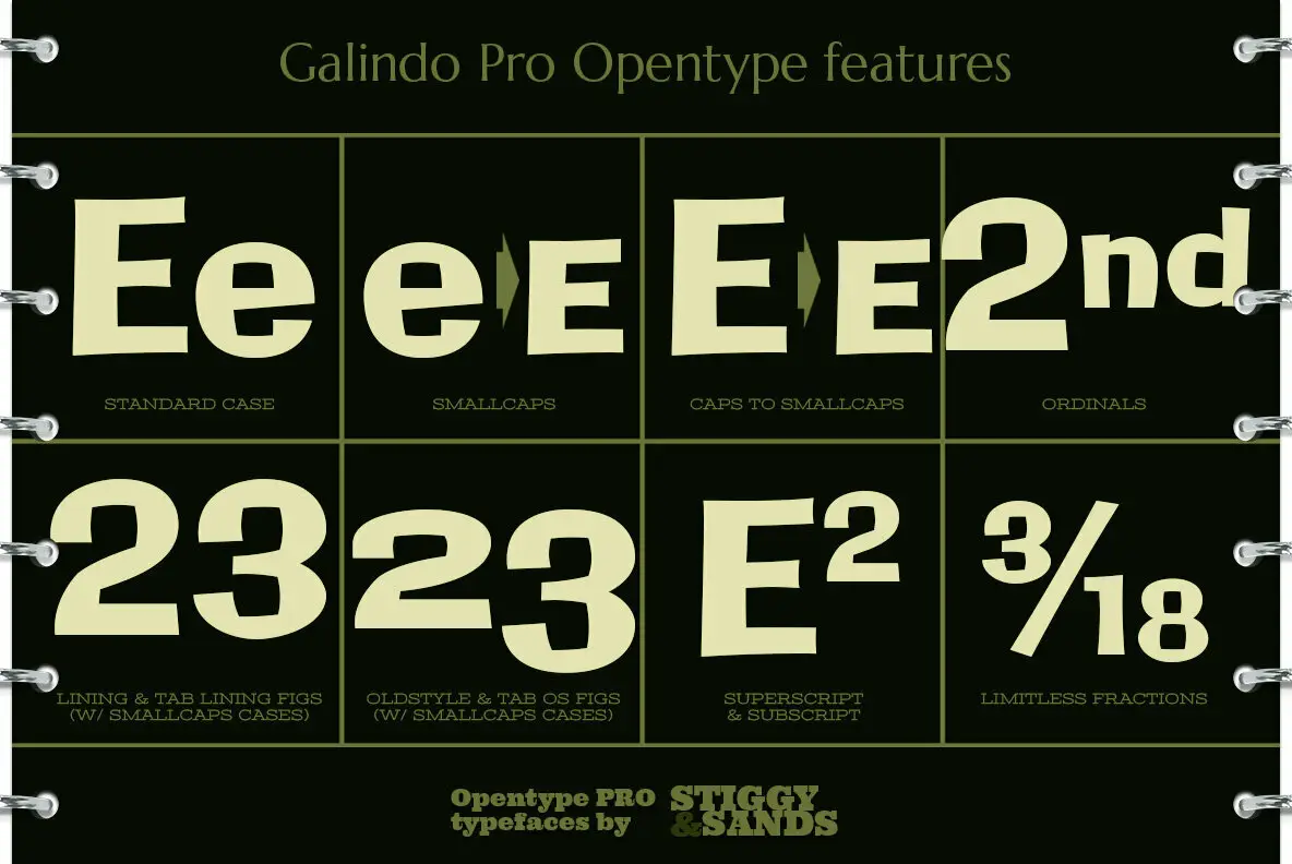 Galindo Pro Font - YouWorkForThem