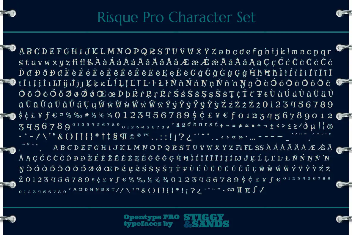 Risque Pro Font - YouWorkForThem