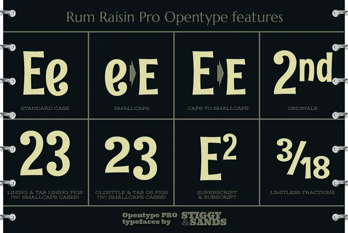 Rum Raisin Pro Font - YouWorkForThem