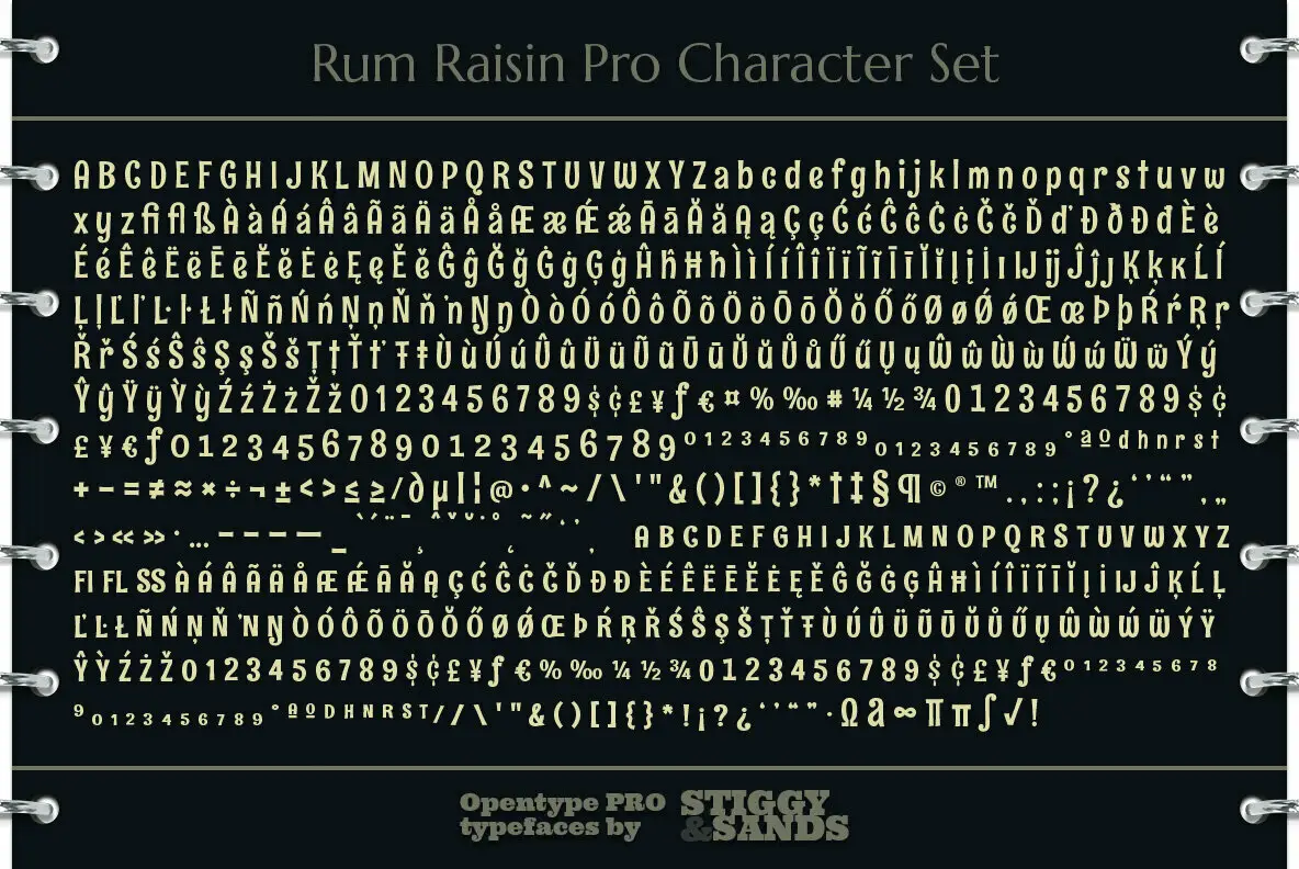 Rum Raisin Pro Font - FontPath