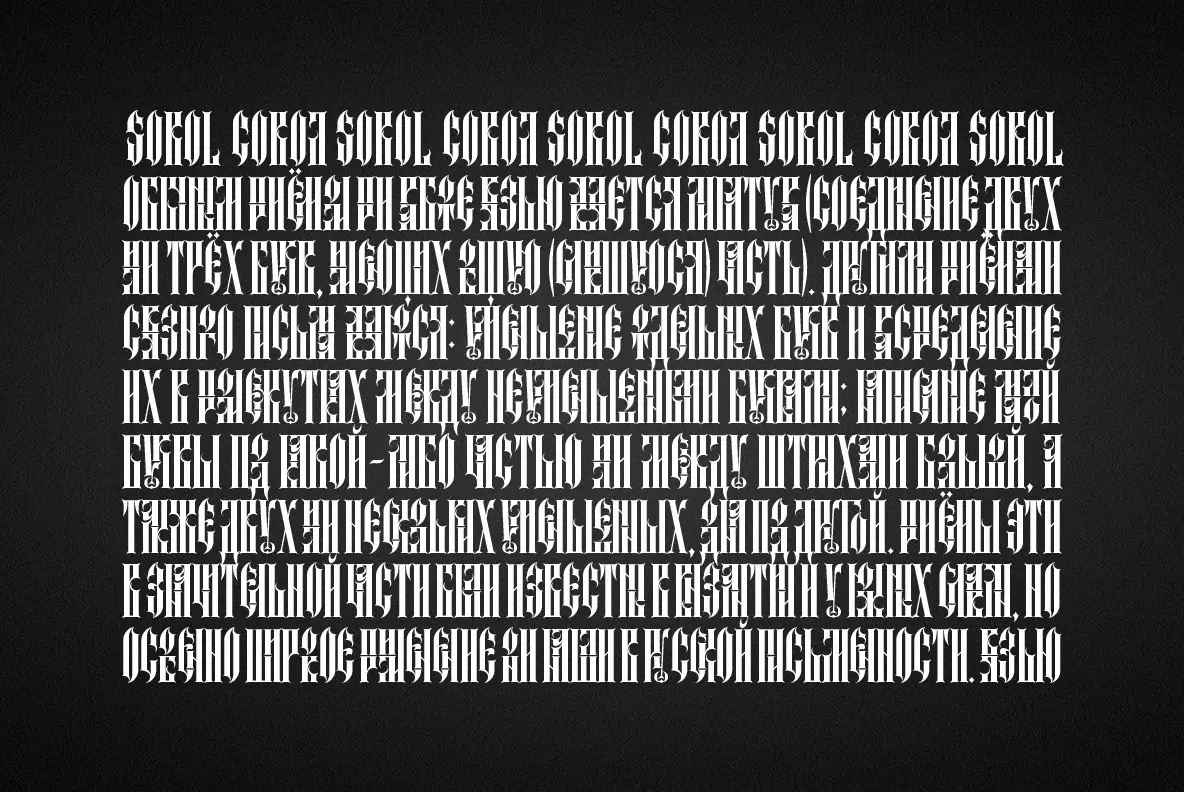 Sokol Font - YouWorkForThem
