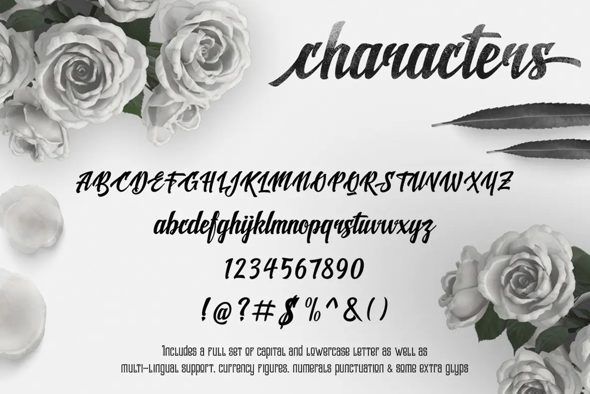 New Shine Script Font - YouWorkForThem