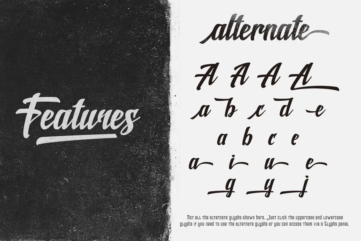 New Shine Script Font - YouWorkForThem