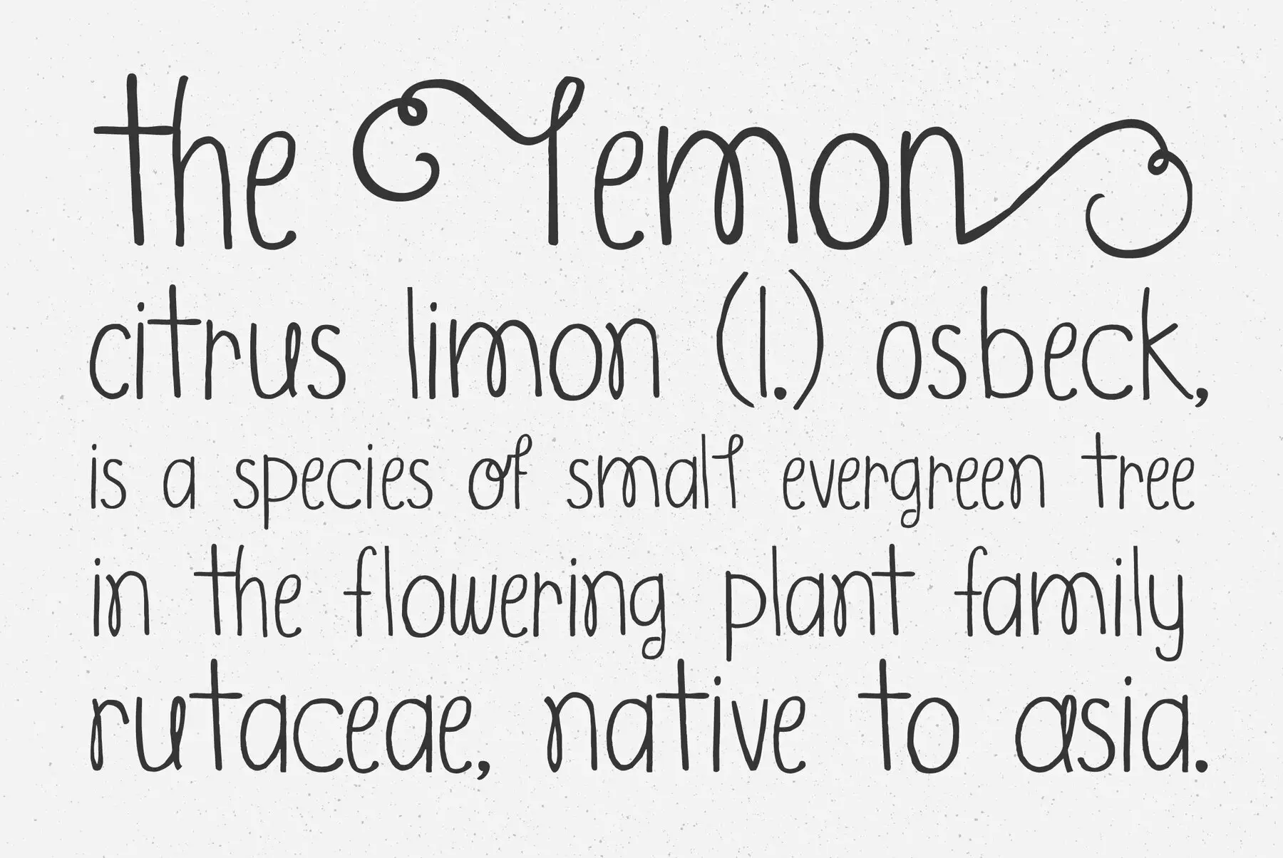YWFT Skipper Font - YouWorkForThem