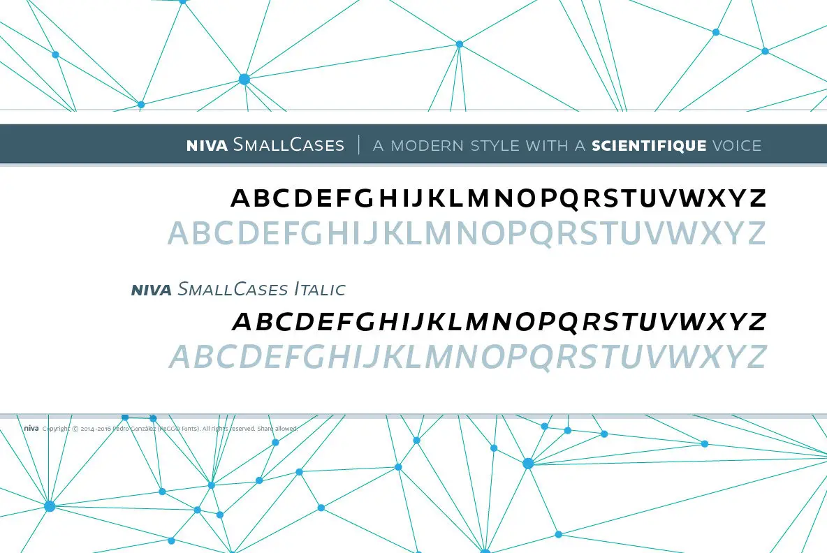 Niva Font - YouWorkForThem