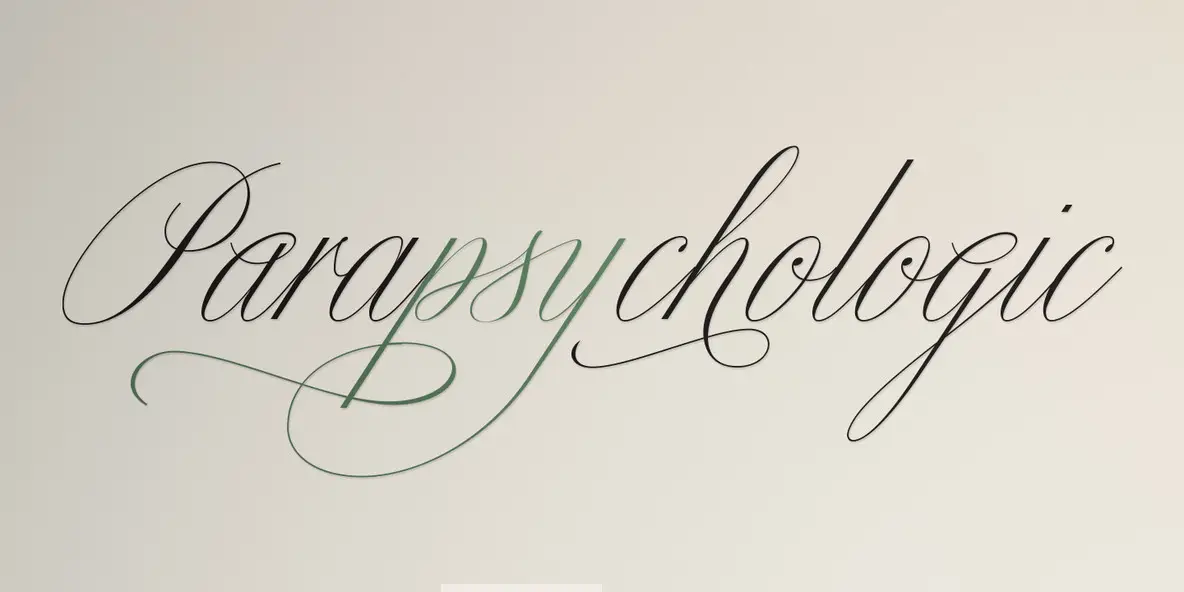 Bellissima Script Pro Font - YouWorkForThem