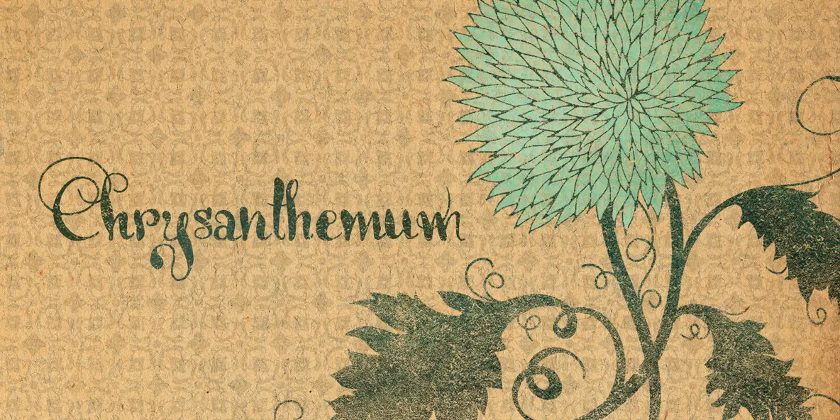 Lady Dodo Font - YouWorkForThem