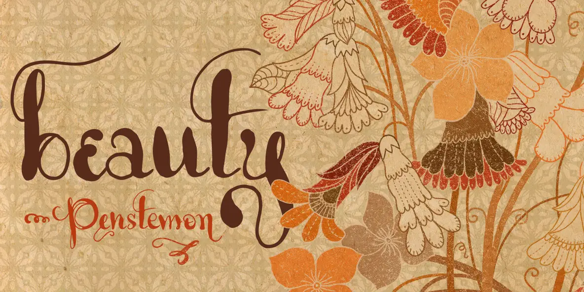 Lady Dodo Font - YouWorkForThem