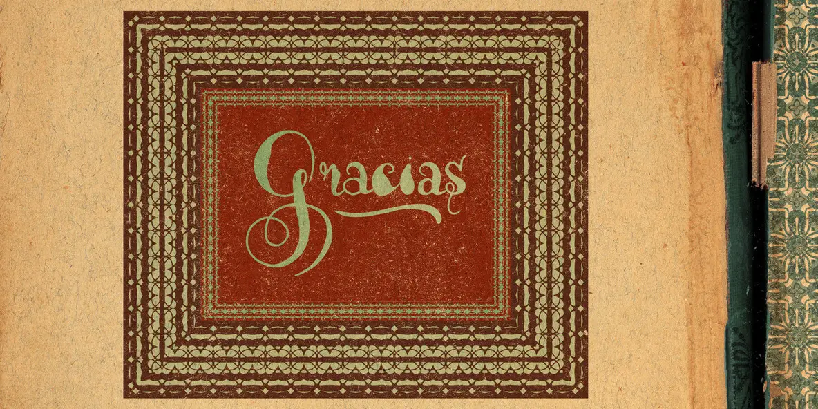 Lady Dodo Font - YouWorkForThem