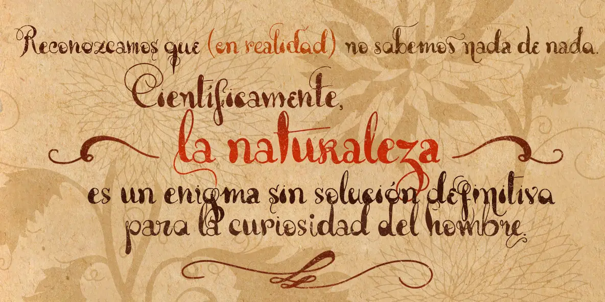 Lady Dodo Font - YouWorkForThem