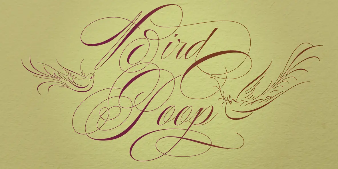 Poem Script Font - YouWorkForThem