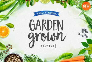 Authentic Weathered Fonts for Food Packaging - YouWorkForThem