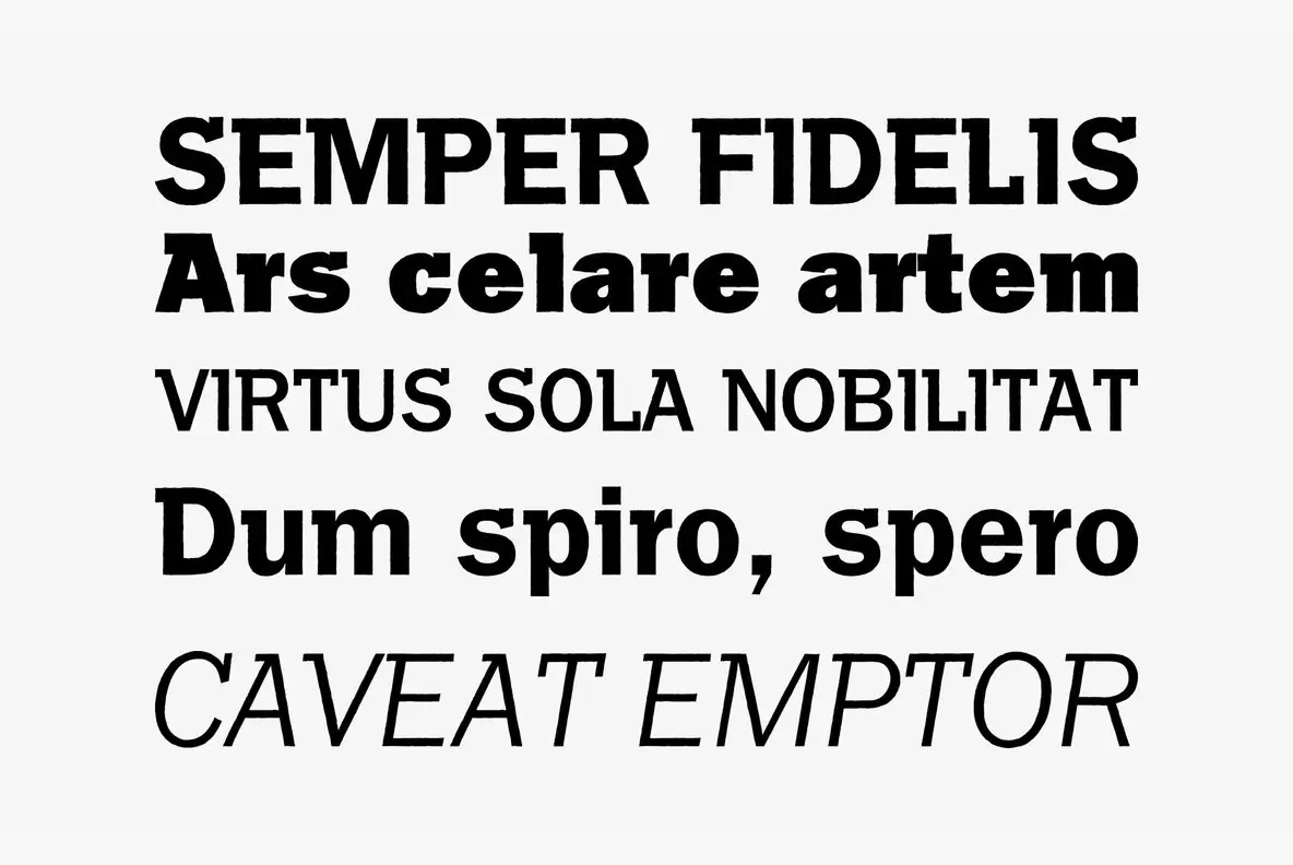 Franklin Gothic Raw Semi Serif Font - YouWorkForThem