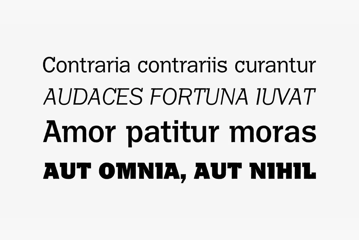 Franklin Gothic Raw Semi Serif Font - YouWorkForThem