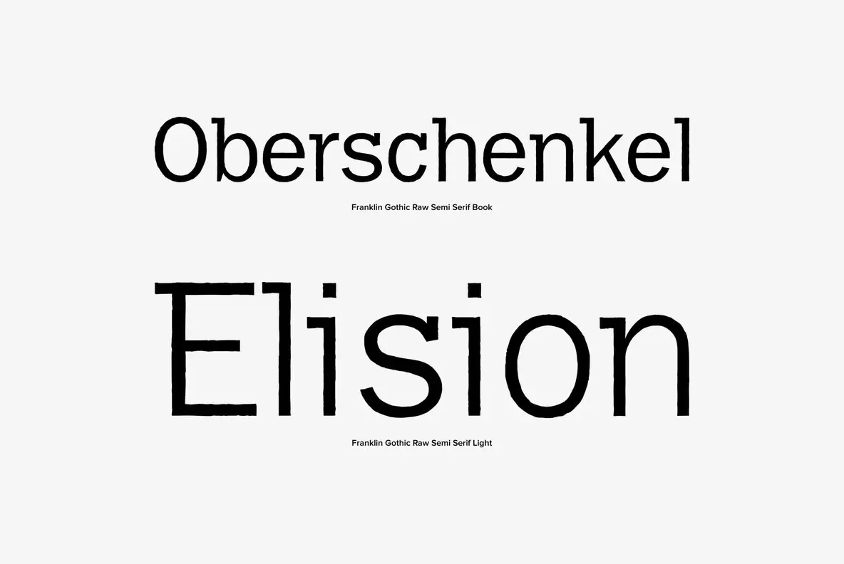 Franklin Gothic Raw Semi Serif Font - YouWorkForThem