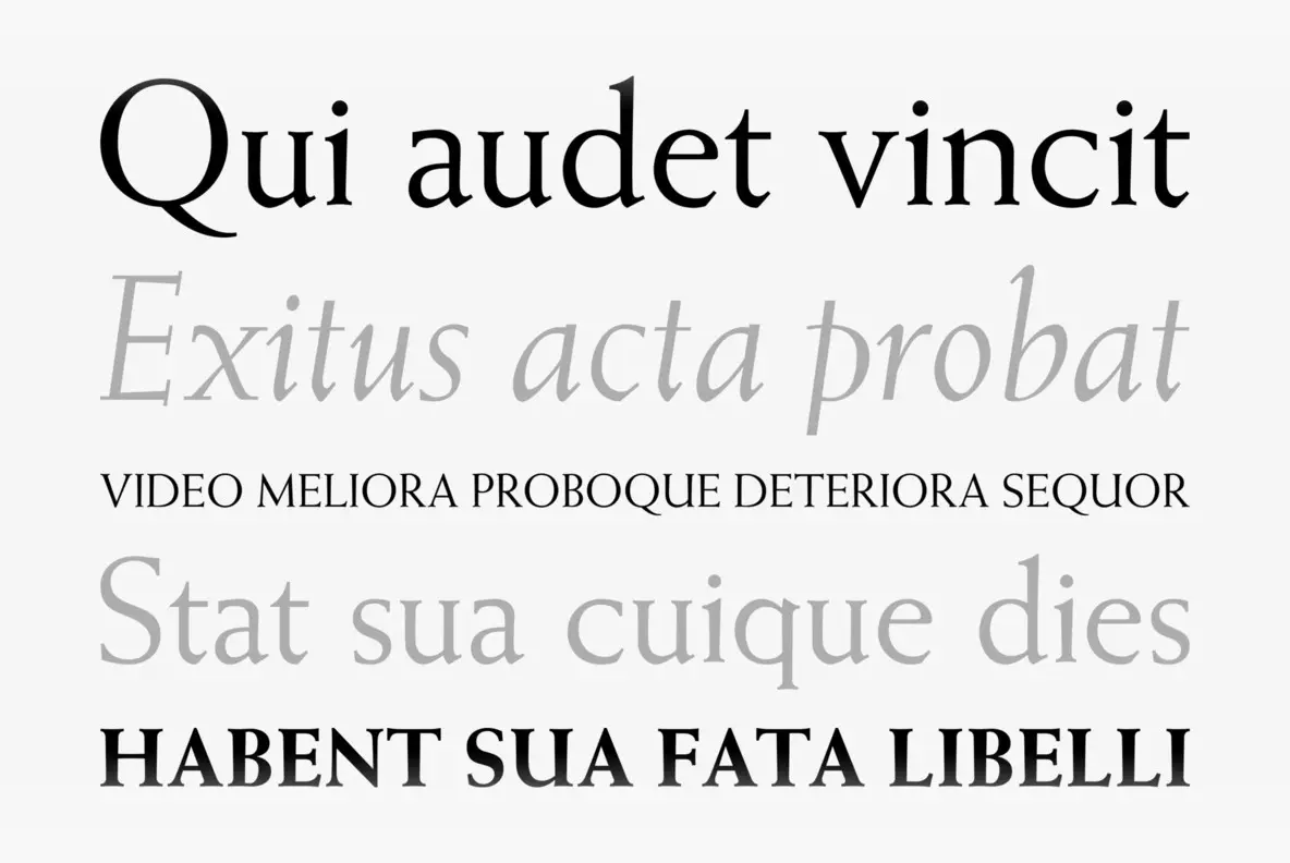 Emilia Font - YouWorkForThem